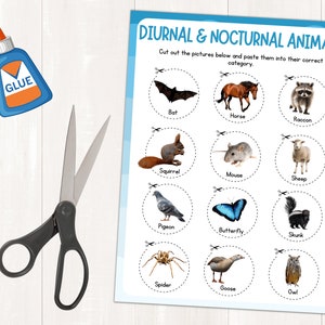 Nocturnal and Diurnal Animals Sorting Activity | Printable | Real ...