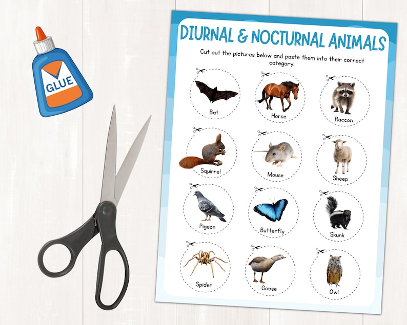 Nocturnal and Diurnal Animals Sorting Activity | Printable | Real ...