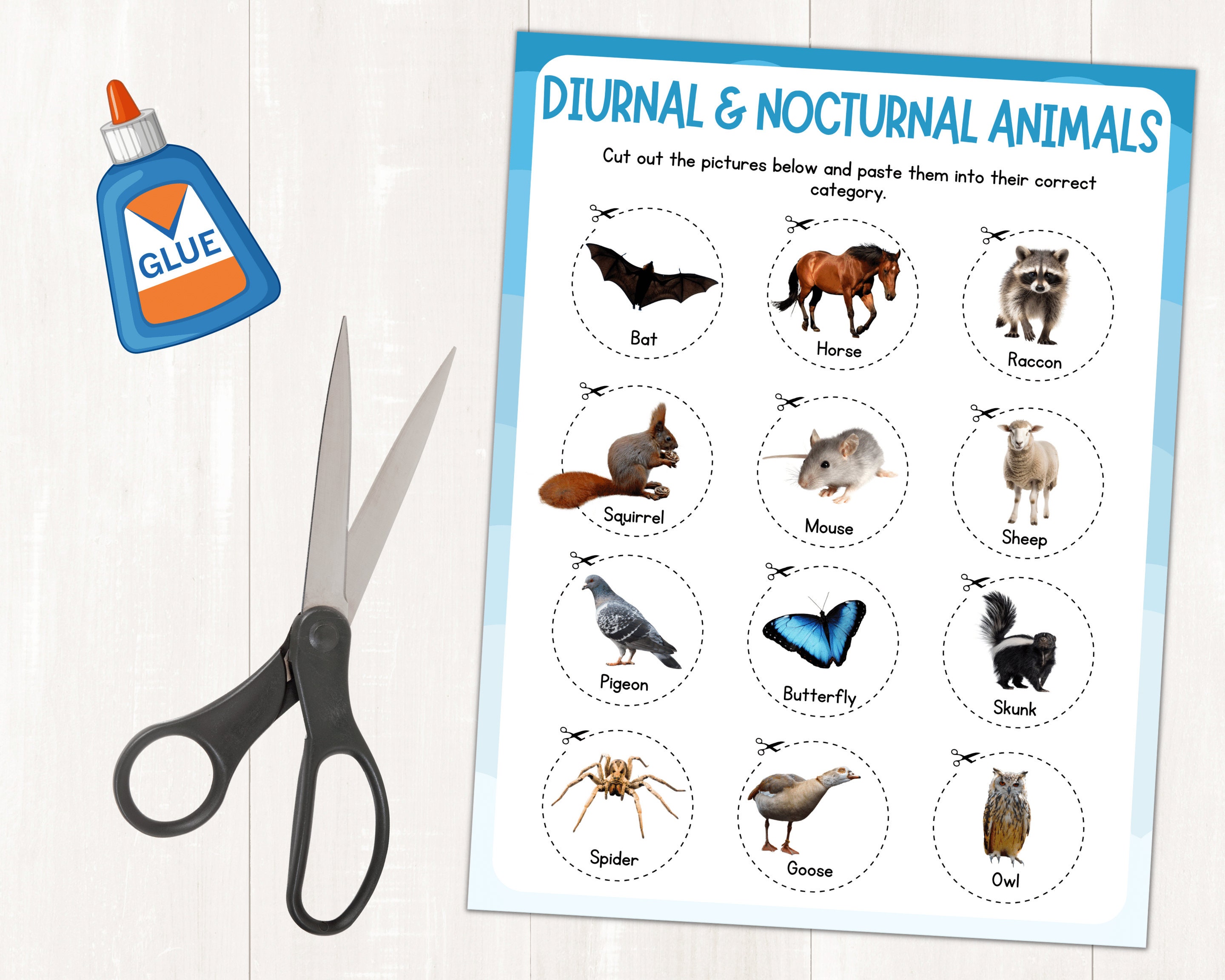 Nocturnal and Diurnal Animals Sorting Activity | Printable | Real ...