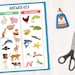 Mammal Vs. Not a Mammal Picture Sort | Animals Sorting Activity ...