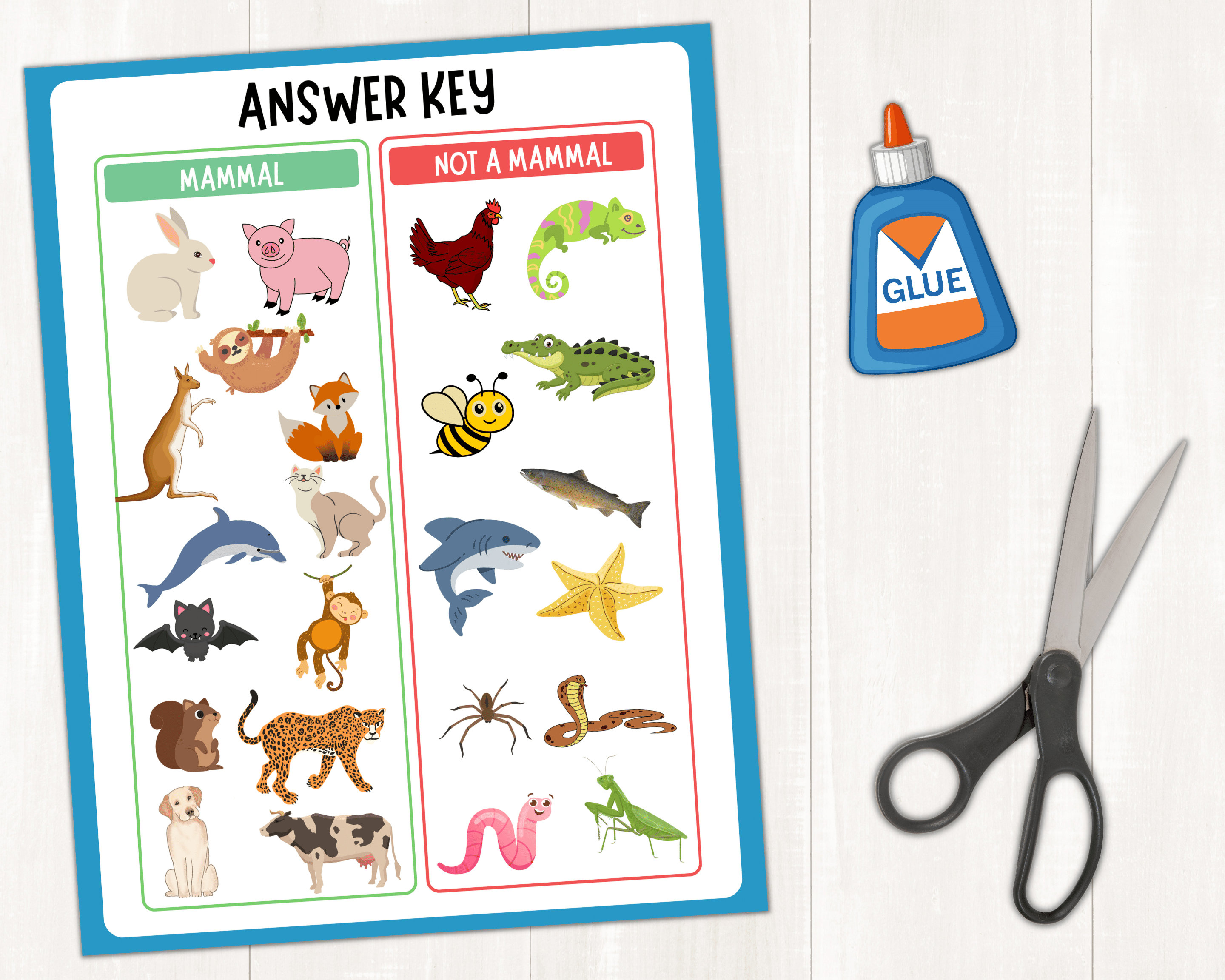 Mammal Vs. Not a Mammal Picture Sort | Animals Sorting Activity ...