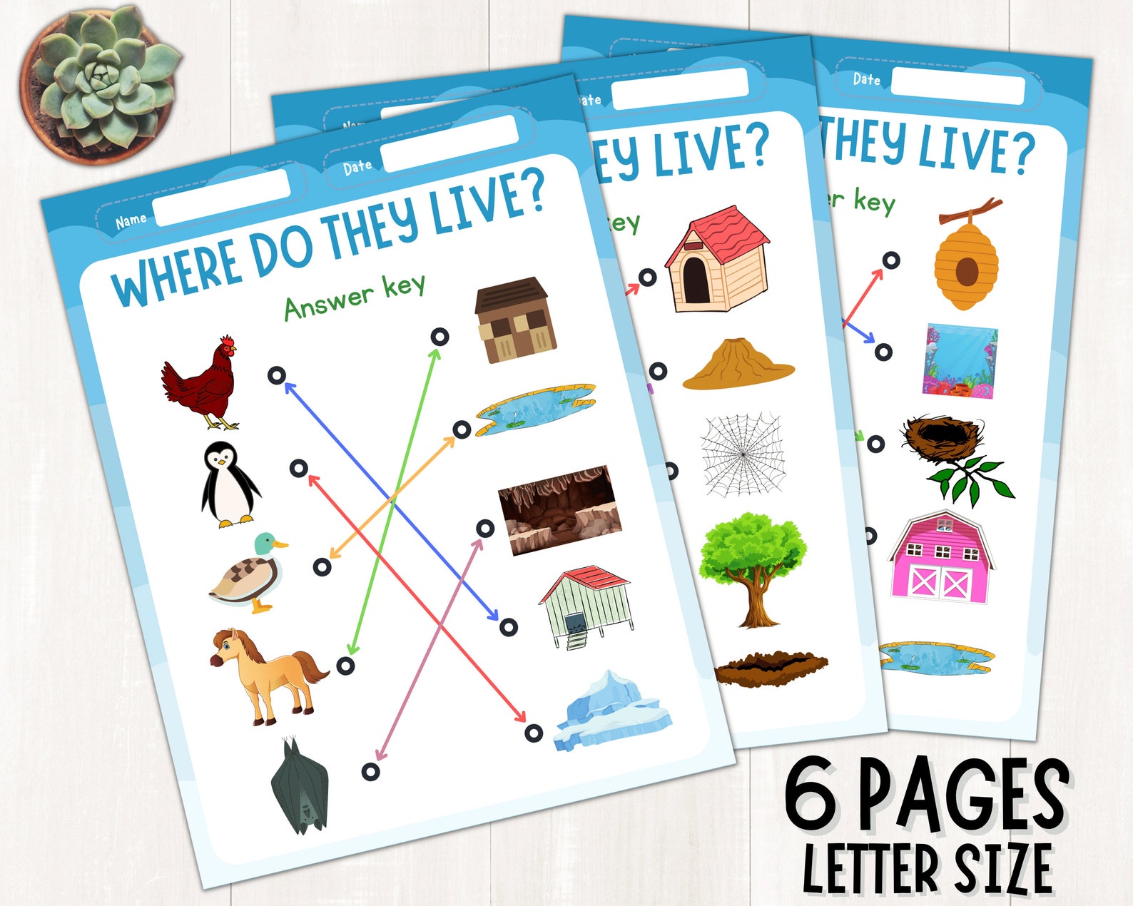 Animals and Their Homes Matching Activity, Animals Printable Worksheets ...