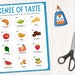 Sense of Taste Sorting Activity Sorting Food Based on Taste Activity ...