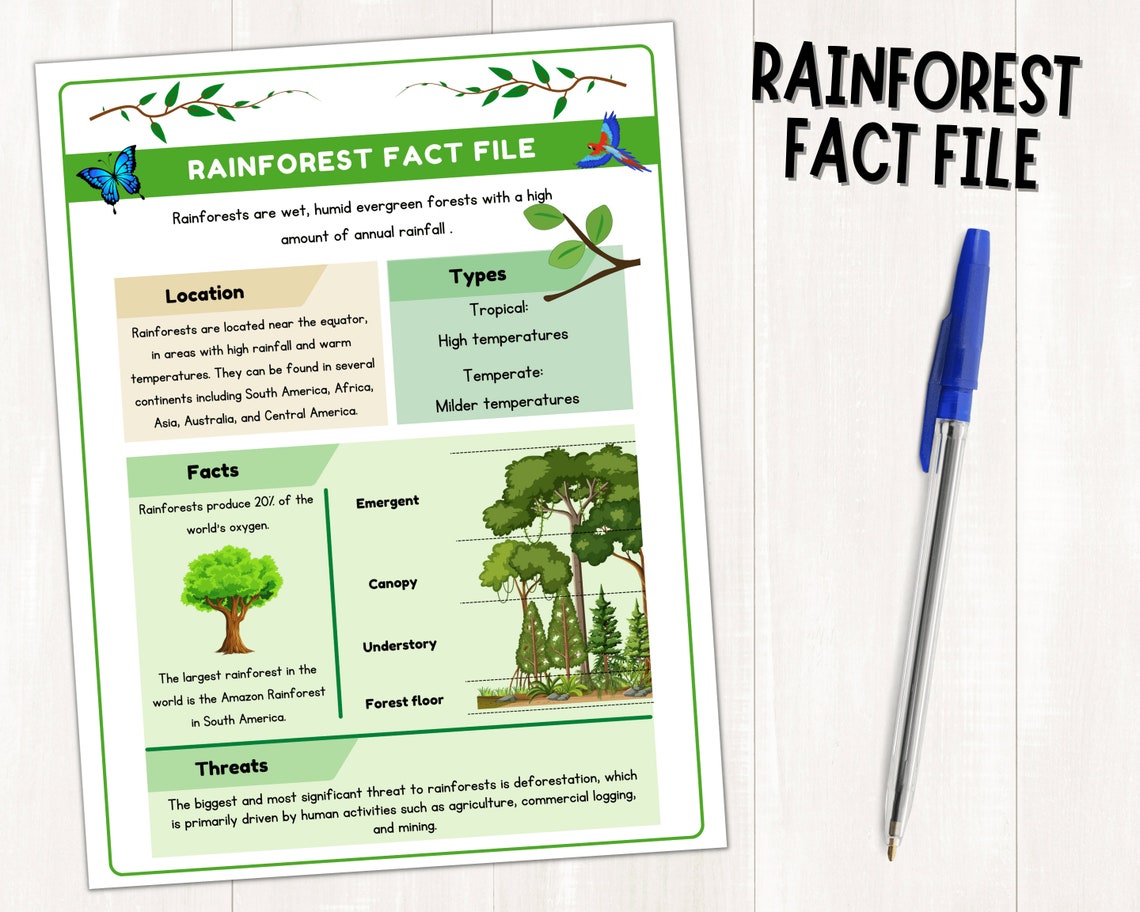 All About the Rainforest Habitat | the Rainforest Fact File ...