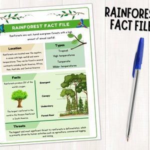 All About the Rainforest Habitat | the Rainforest Fact File ...