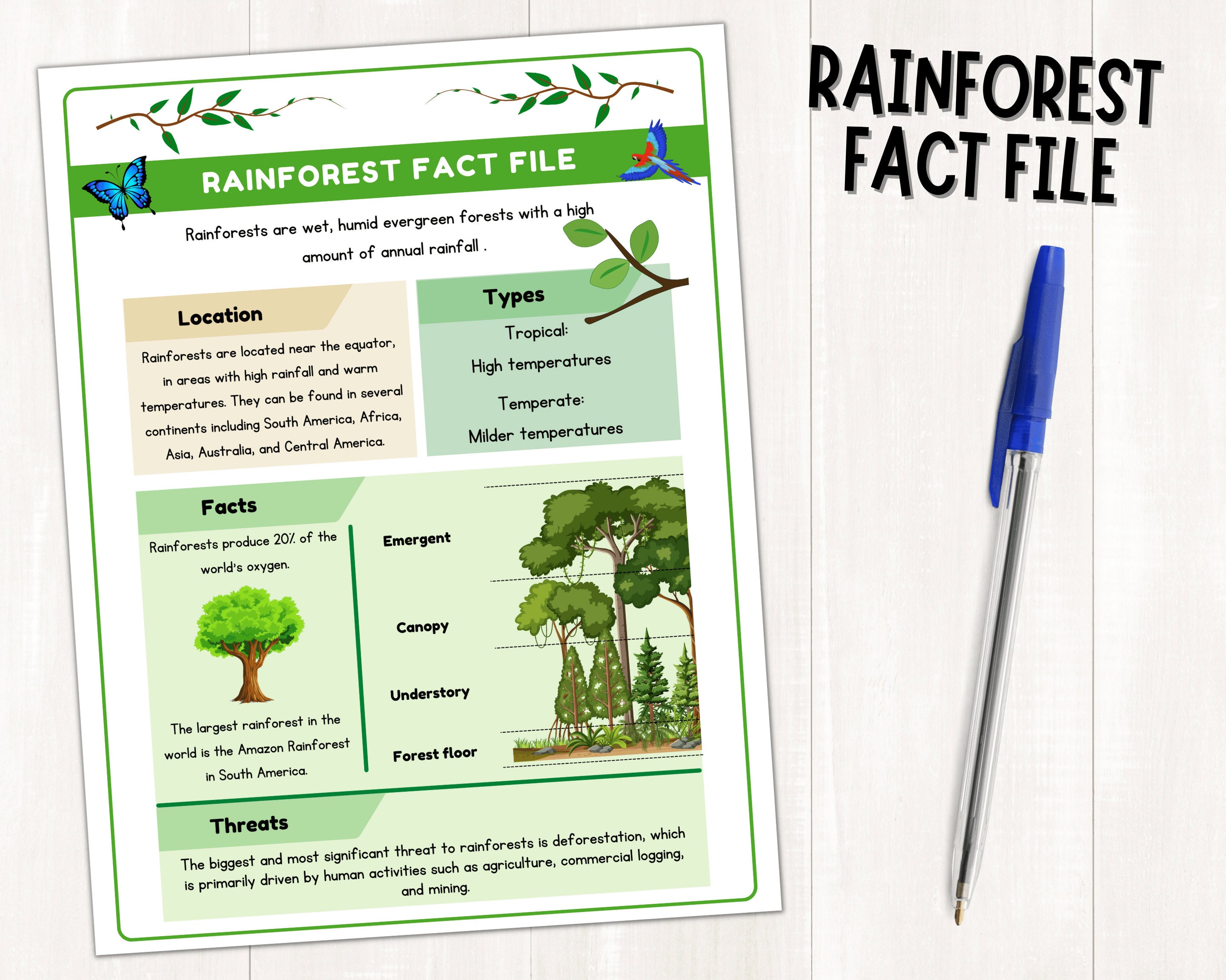 All About the Rainforest Habitat | the Rainforest Fact File ...