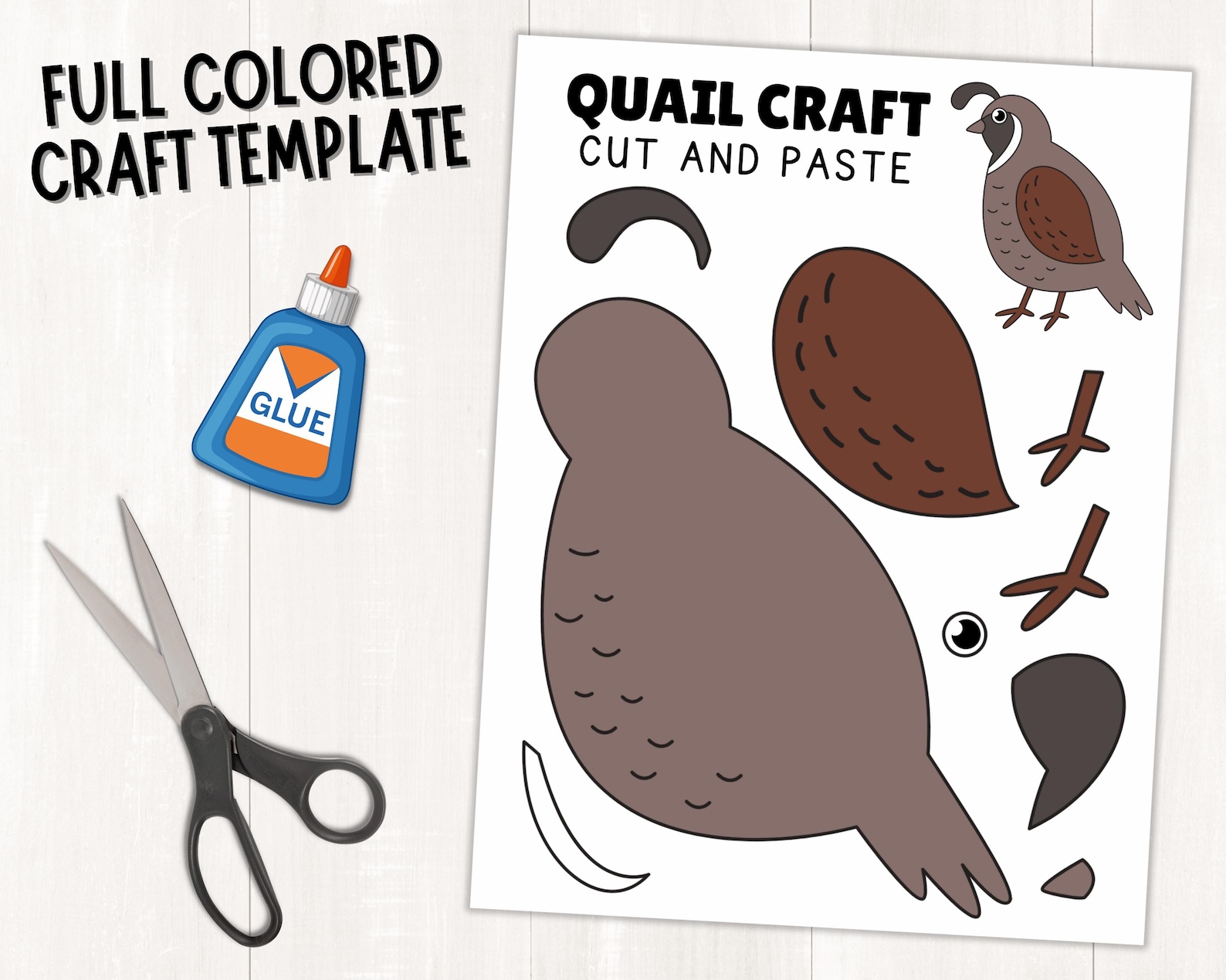Printable Quail Craft Template | Build a Bird Craft | Color, Cut, and ...