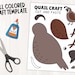 Printable Quail Craft Template | Build a Bird Craft | Color, Cut, and ...
