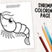 Printable Shrimp Craft, Sea Life Activities, Ocean Animal Craft, Summer ...