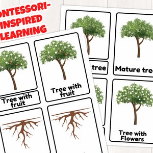 Printable Apple Activity Pack for Kids | Apple Fall Worksheets | Apple ...