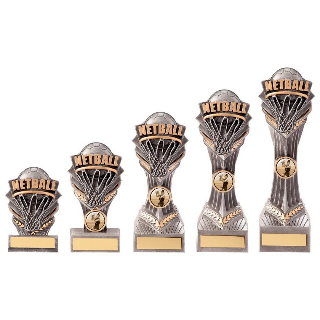 Trophy Superstore Falcon Netball Trophy - Free Engraving - Multiple ...