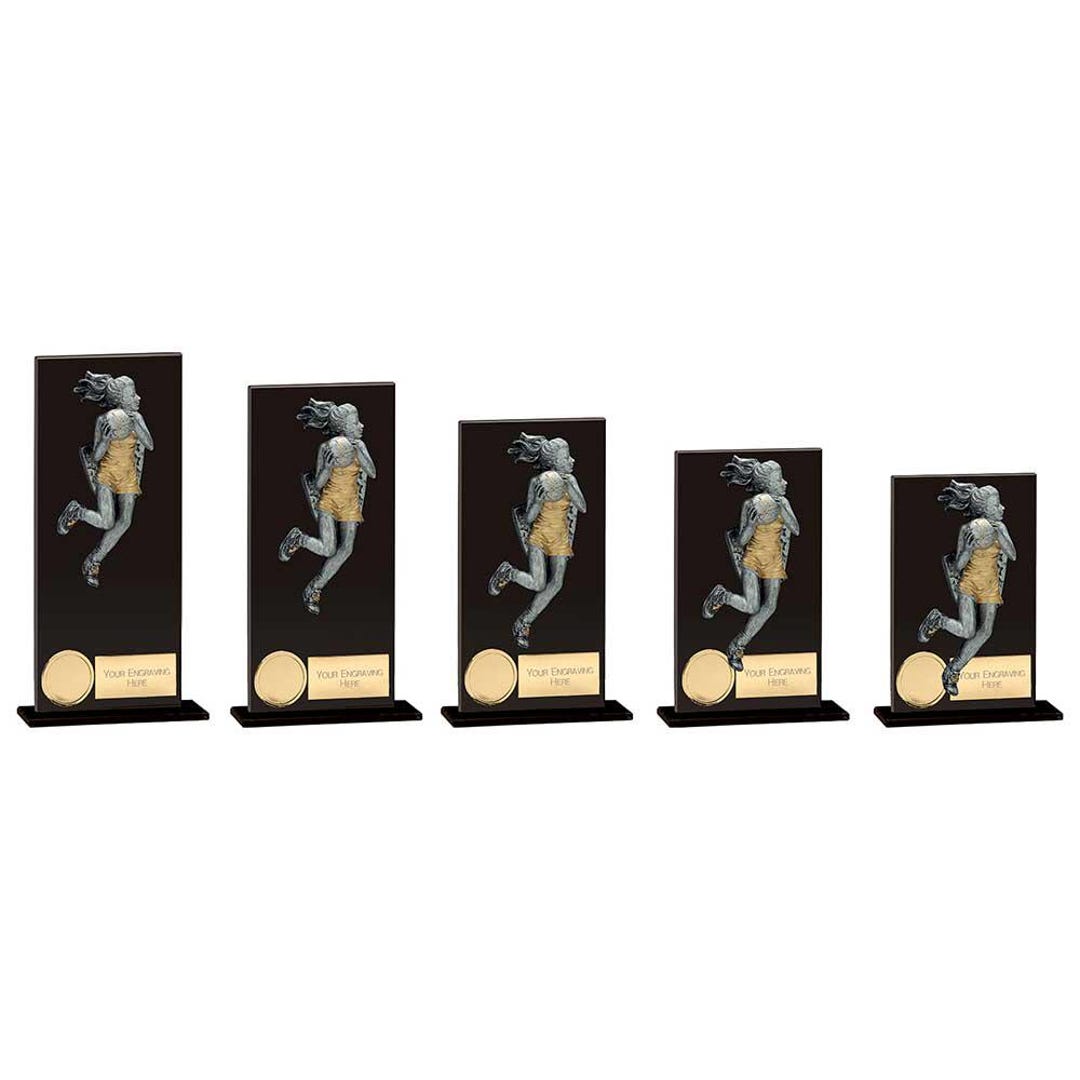 Euphoria Netball Glass Darts Award Trophy - Free Engraving - Mulitple ...