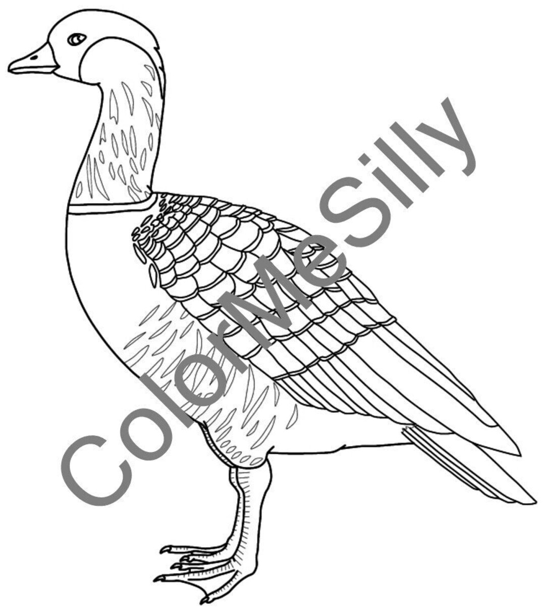 Nene Goose, State Bird of Hawaii - Etsy
