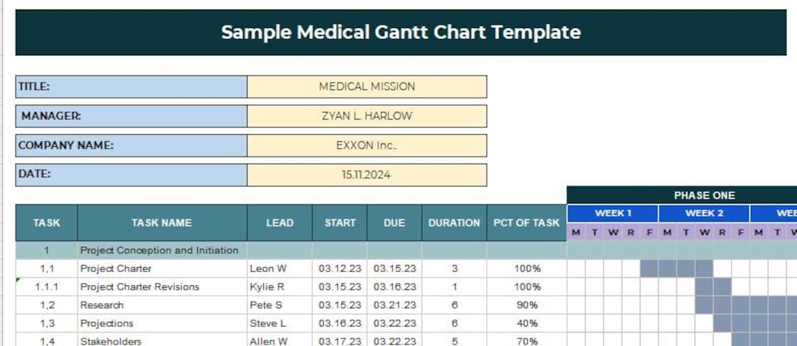 Comprehensive Medical Gantt Chart Template for Project Planning - Etsy