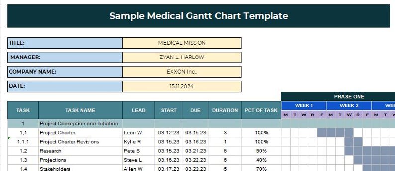Comprehensive Medical Gantt Chart Template for Project Planning - Etsy