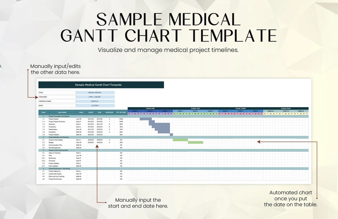Comprehensive Medical Gantt Chart Template for Project Planning - Etsy