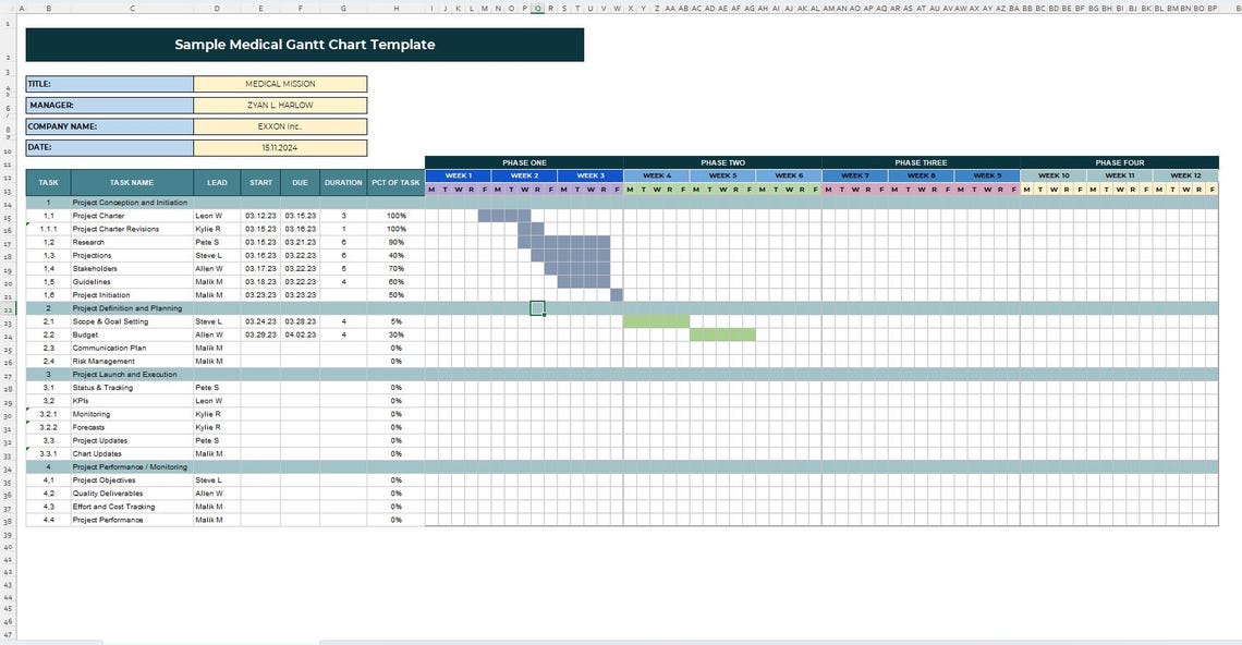Comprehensive Medical Gantt Chart Template for Project Planning - Etsy