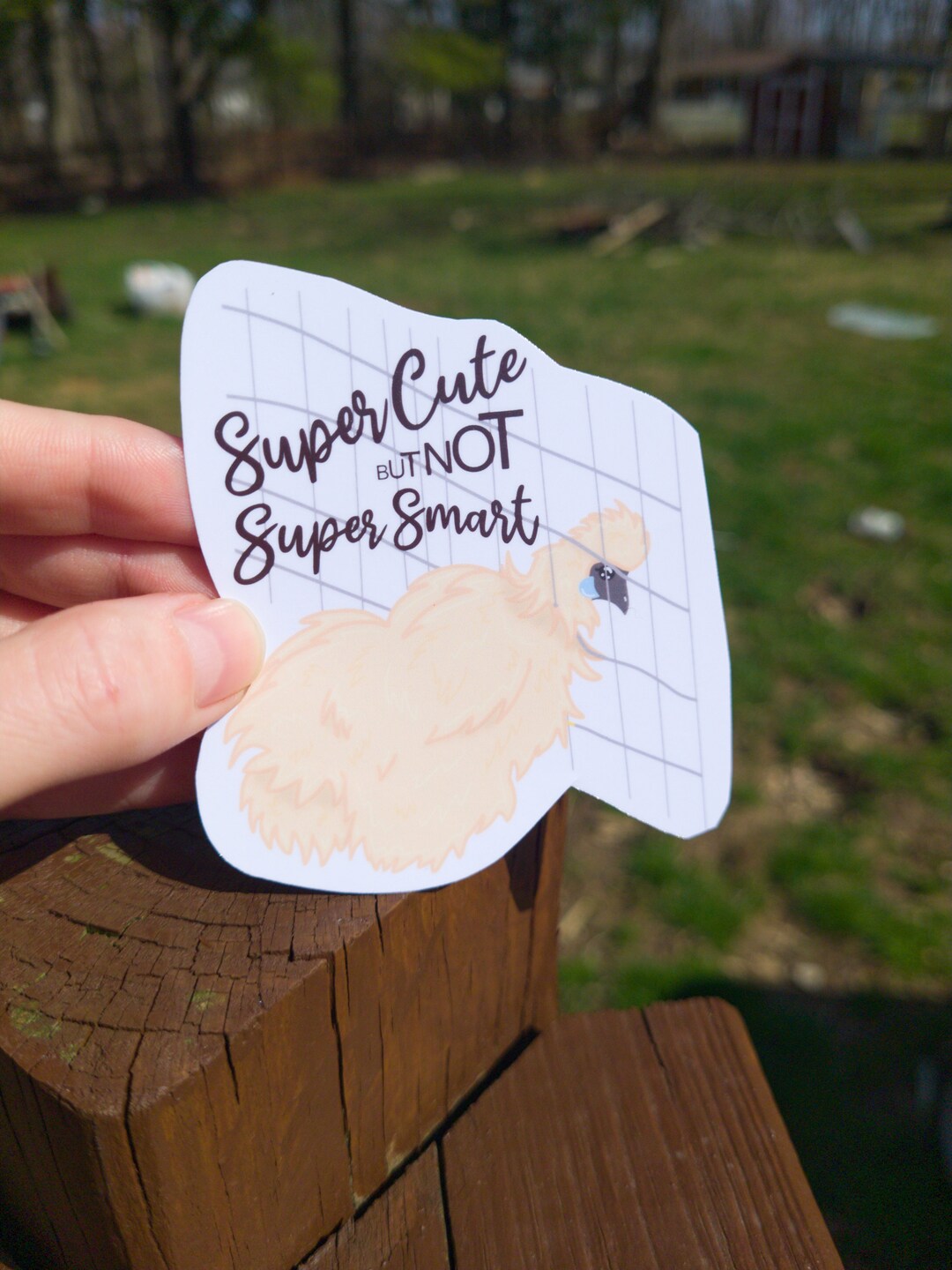 Super Cute but Not Super Smart Sticker, Chicken Sticker, Chicken Mom ...