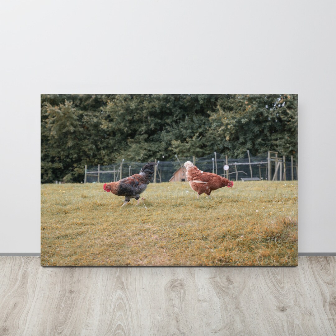 Farmhouse Chicken Wall Art, Free-range Hens, Green Field (matte Print ...