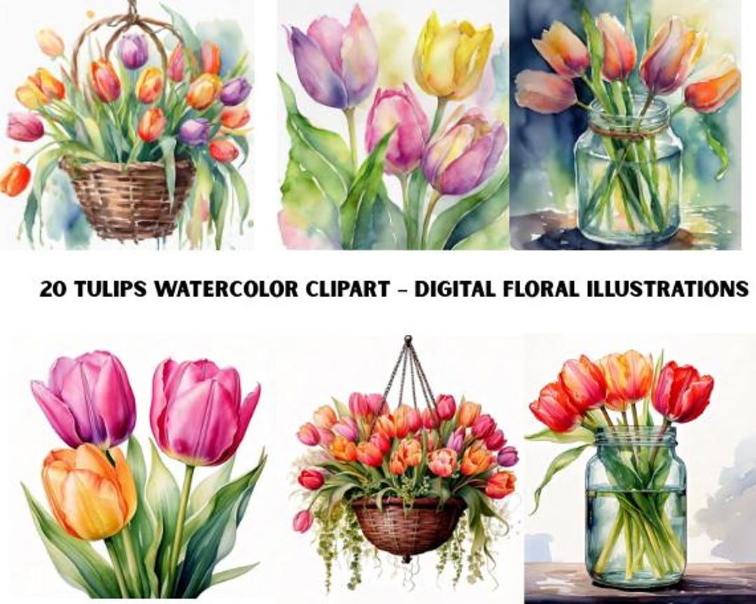 20 Tulip Watercolor Clipart | Digital Floral Illustration | Spring ...