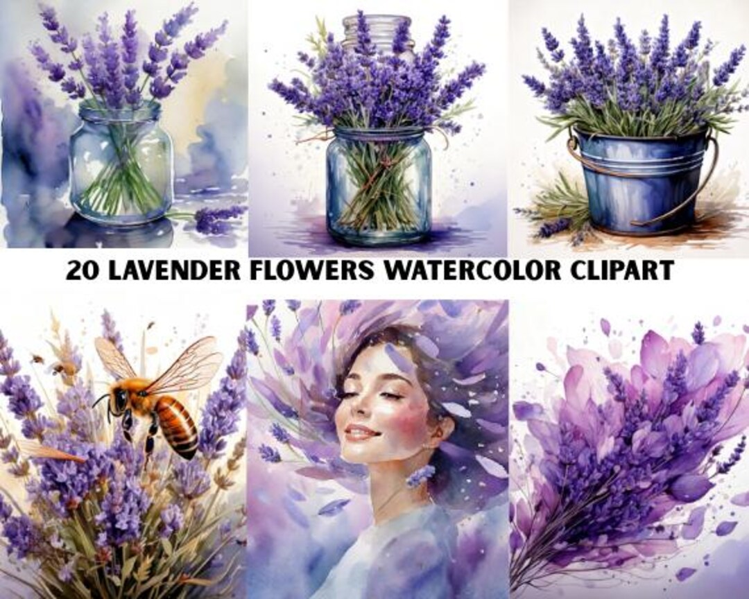 20 Lavender Flowers Watercolor Clipart | Digital Floral Illustrations ...