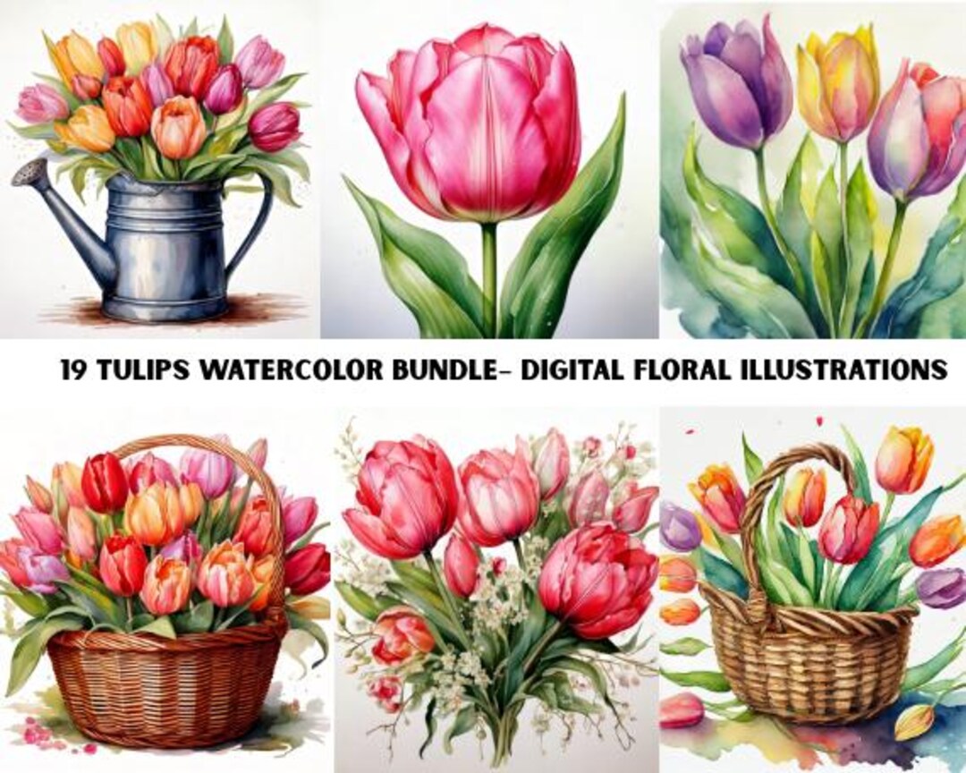 19 Tulip Watercolor Clipart – Digital Floral Illustrations PNG Bundle ...