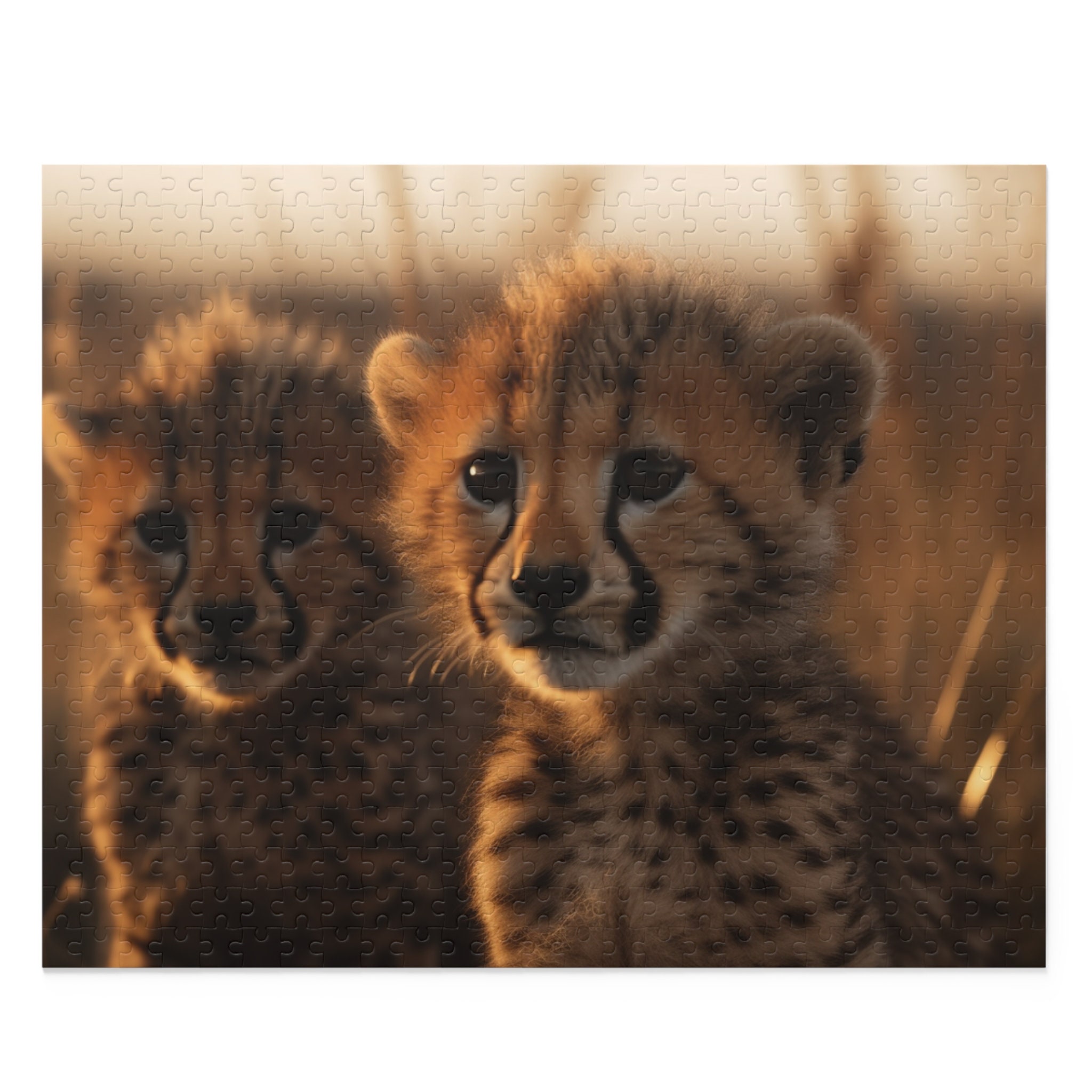 Cute Baby Cheetah Cubs Wallpaper