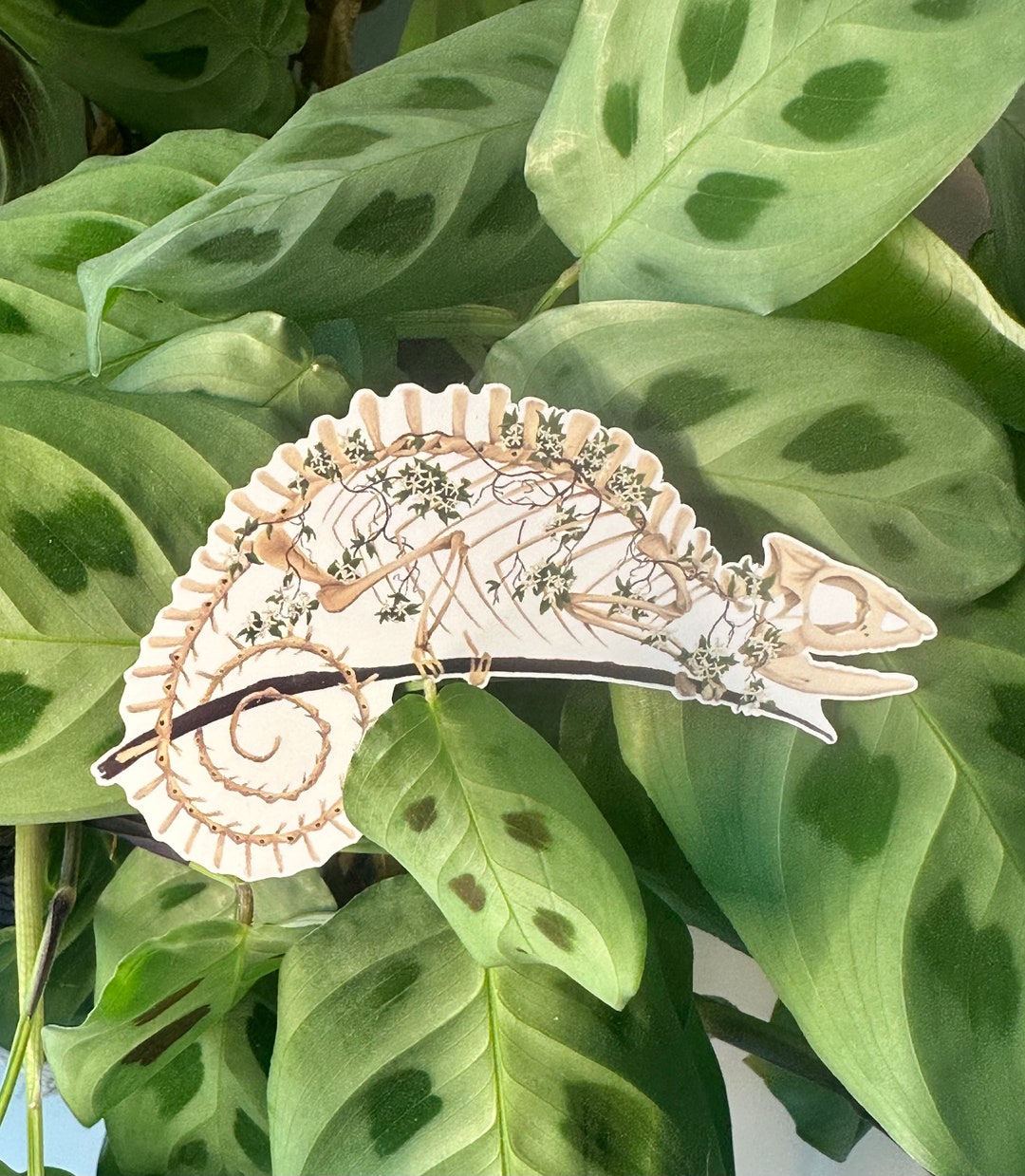 Chameleon Skeleton and Jasmine Illustration Matt/gloss Water Resistant ...