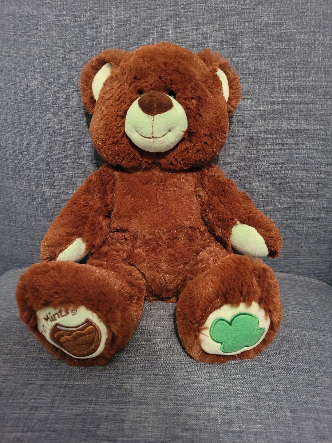 Build A Bear - Girl Scouts, Thin Mint Bear. Bear Has Not Been Played ...