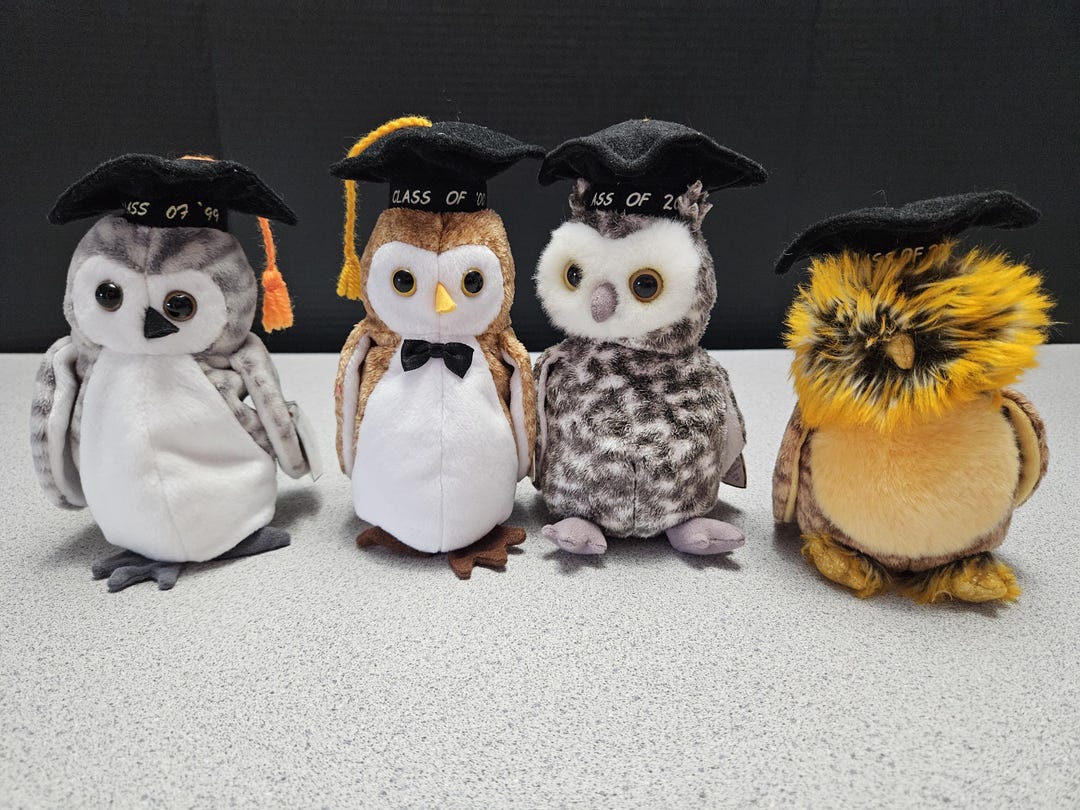 Beanie Babies - Class of Owls - Class 1999, 2000, 2001 & 2003 - Etsy