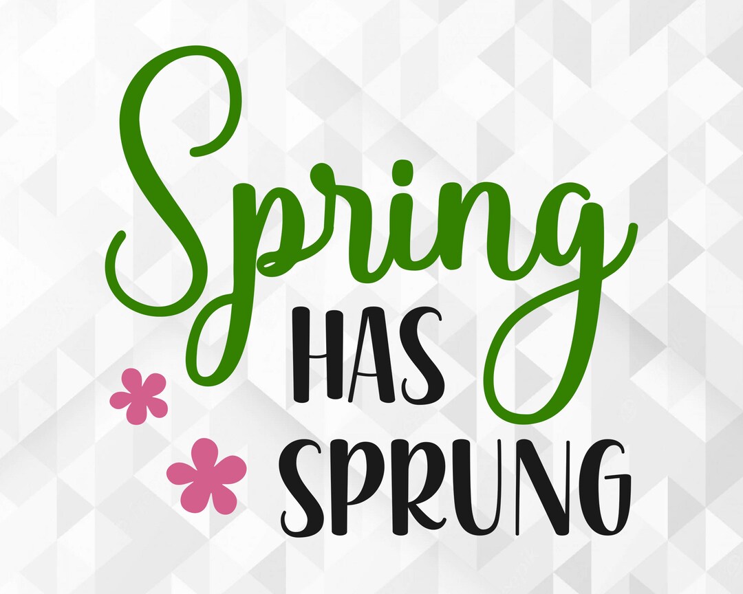 Spring Has Sprung SVG, Spring Svg, Hello Spring Svg, Spring Has Sprung Cut Files, Cricut, Png ...