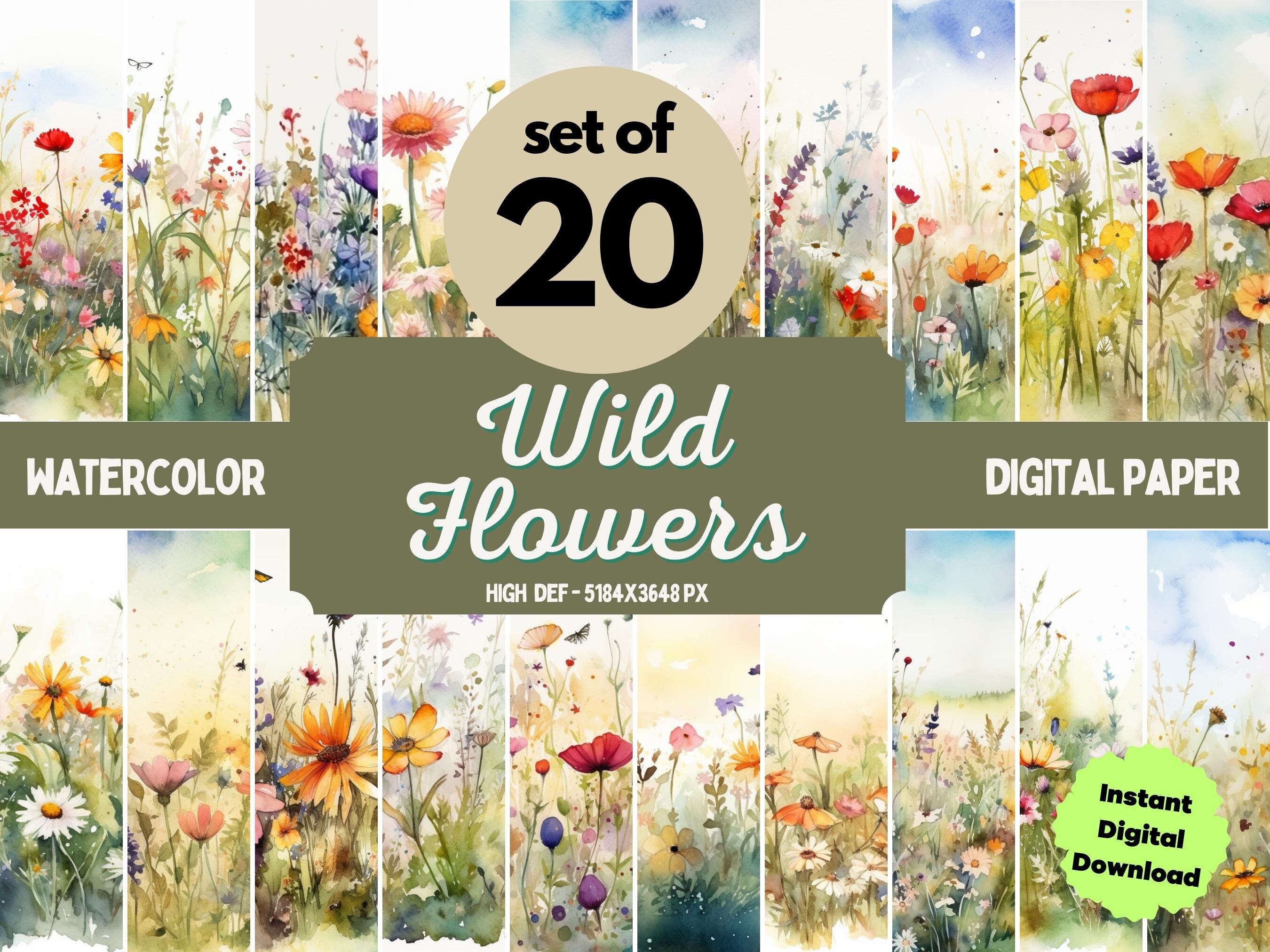 Wildflower Wonders: 20-piece Watercolor Digital Paper Set. Unleash ...