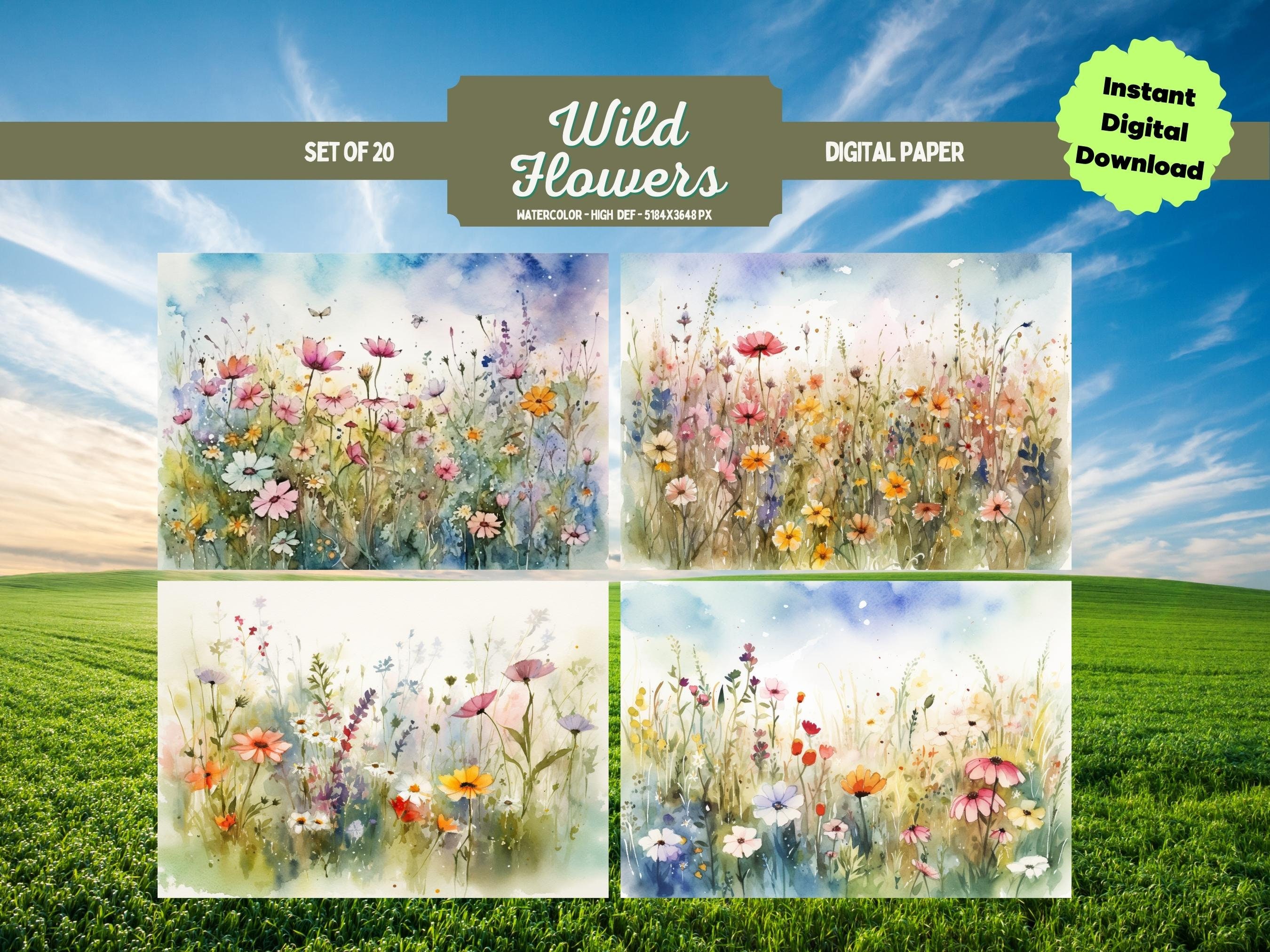 Wildflower Wonders: 20-piece Watercolor Digital Paper Set. Unleash ...