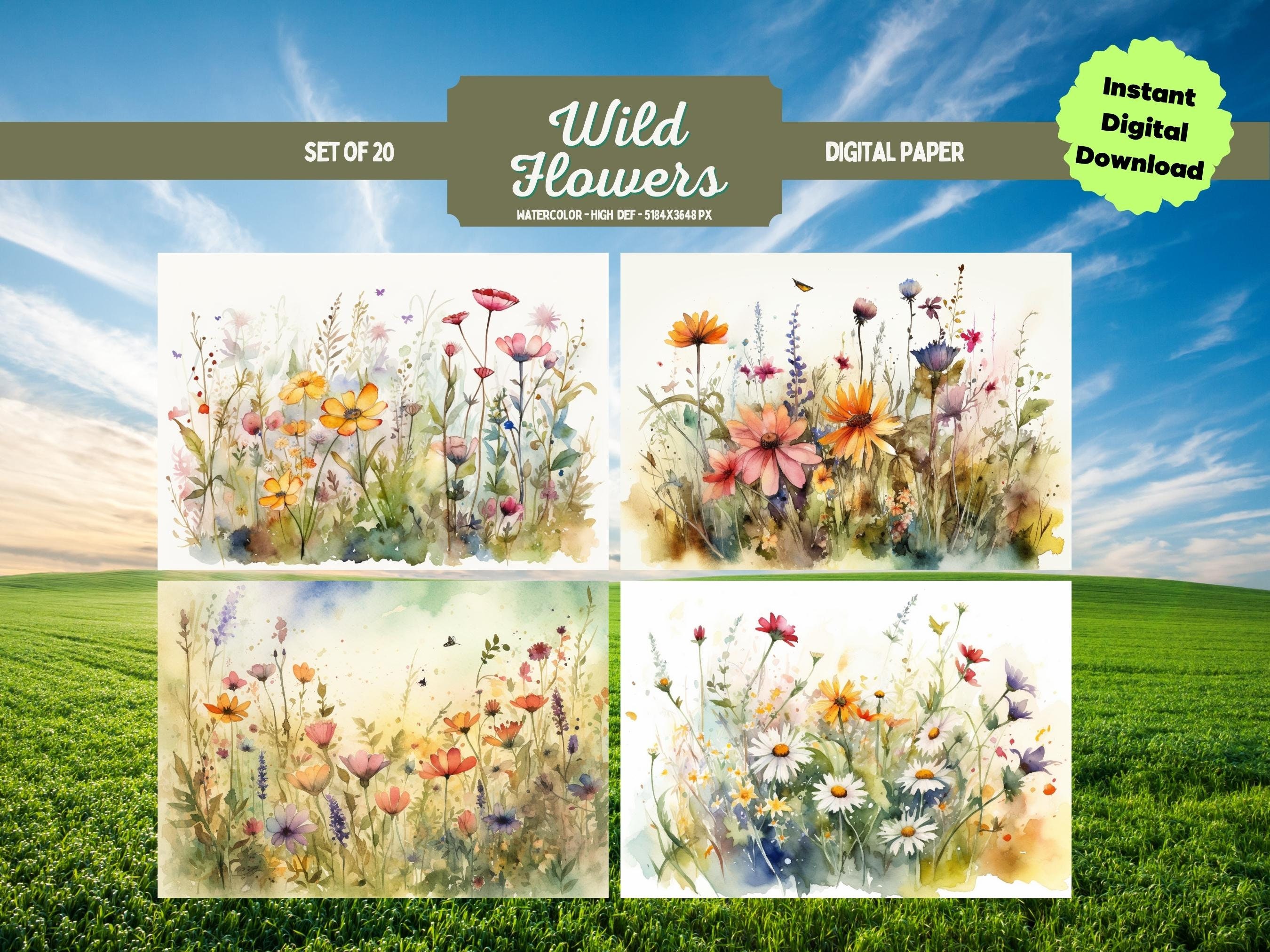 Wildflower Wonders: 20-piece Watercolor Digital Paper Set. Unleash ...