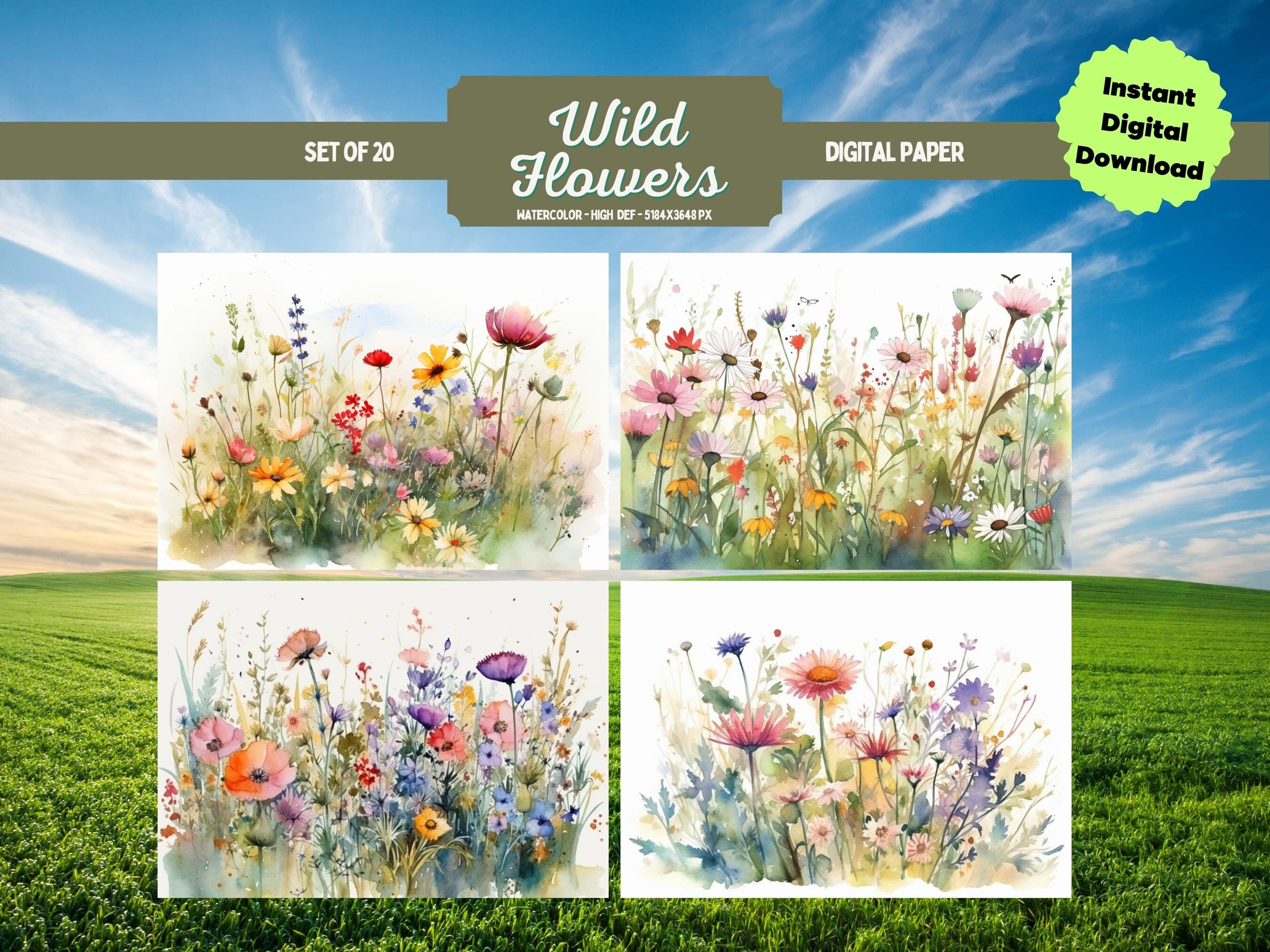 Wildflower Wonders: 20-piece Watercolor Digital Paper Set. Unleash ...