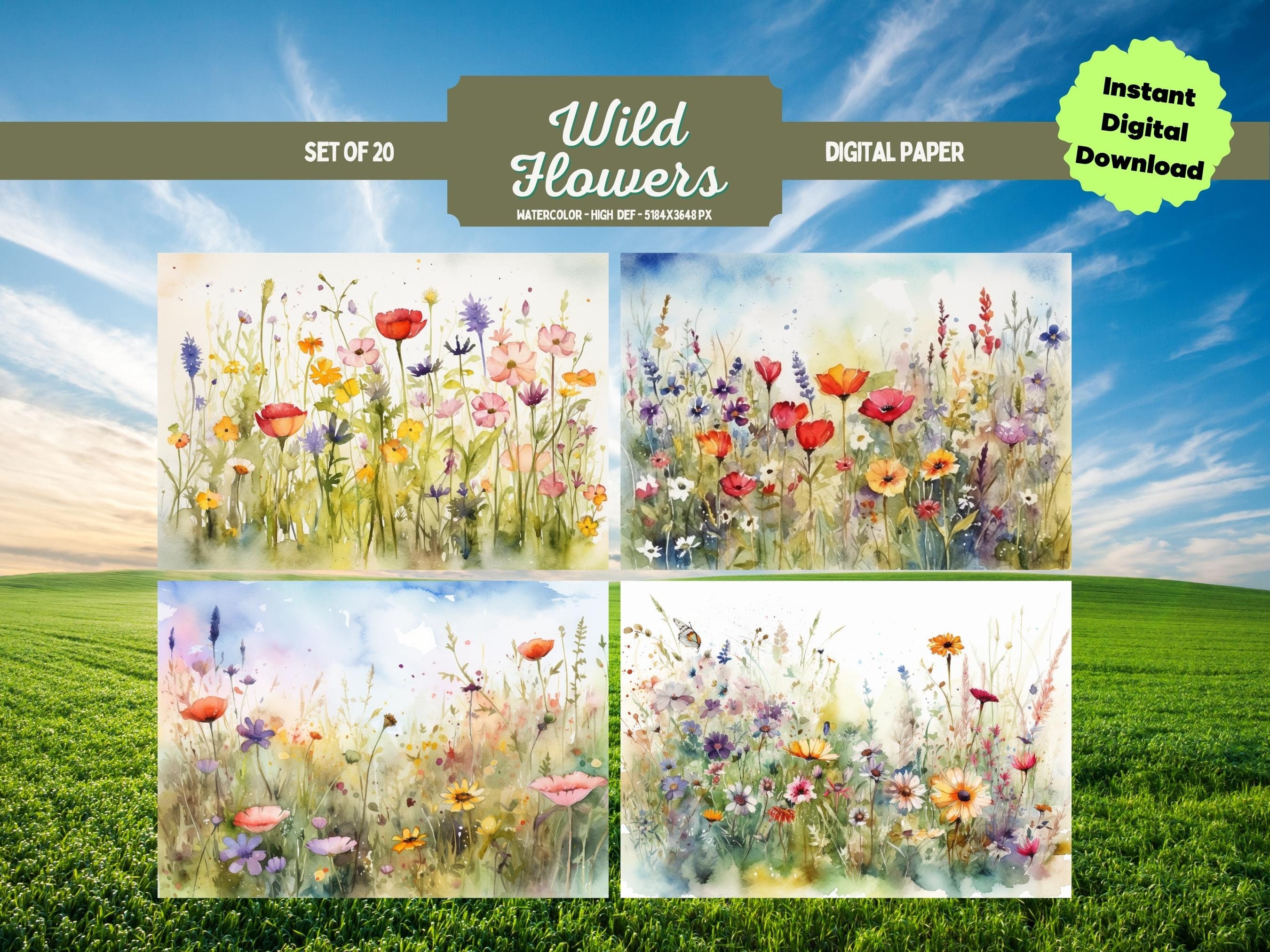 Wildflower Wonders: 20-piece Watercolor Digital Paper Set. Unleash ...