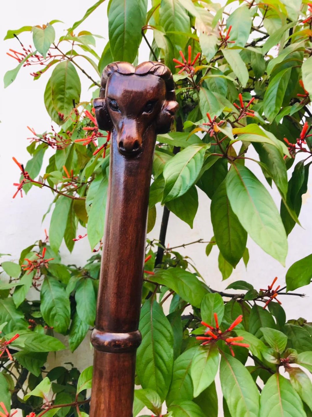 Buffalo-themed Walking Stick – Hand-carved Wooden Cane With Intricate ...