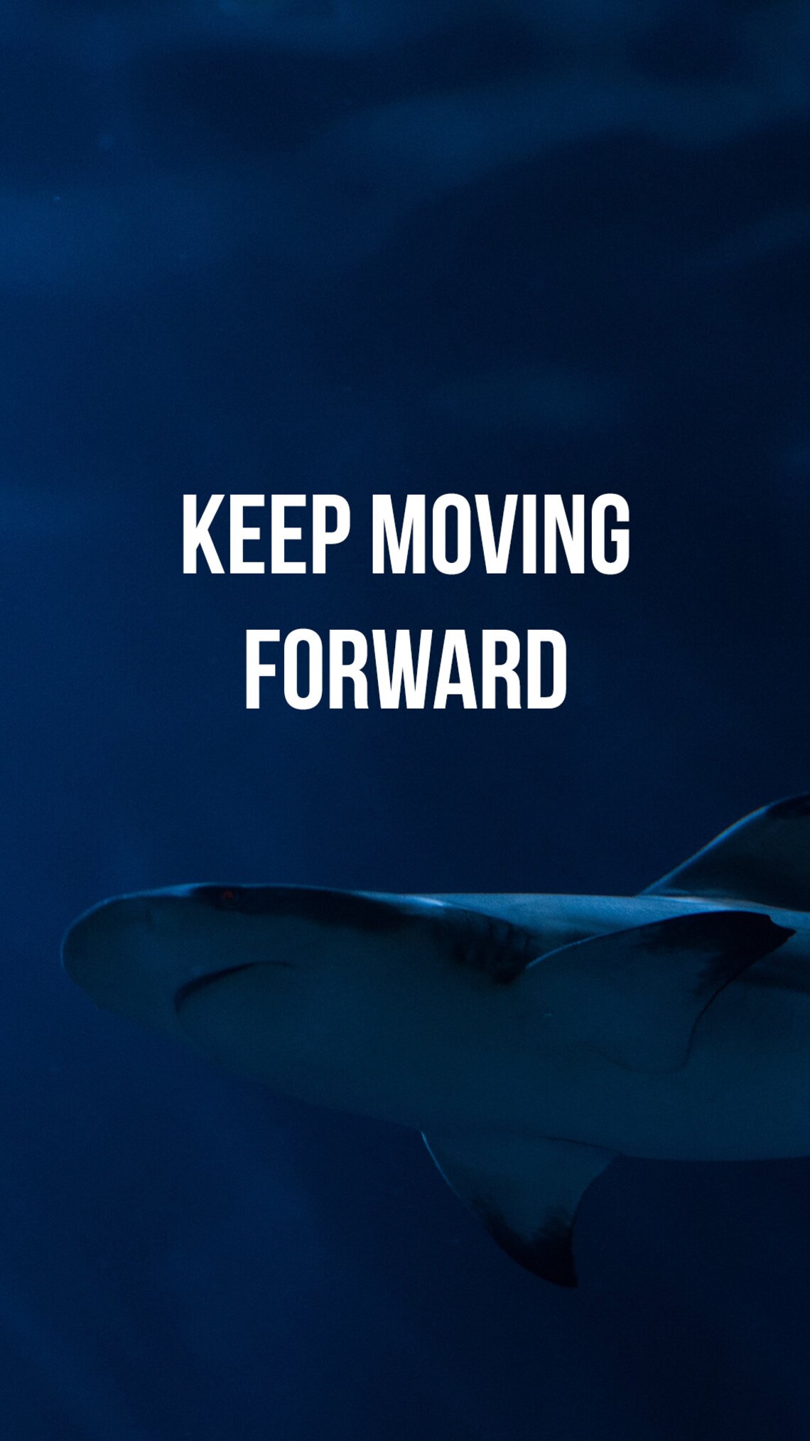 Bundle of 5 Motivational Wallpapers12/13/1highresolution Motivational ...