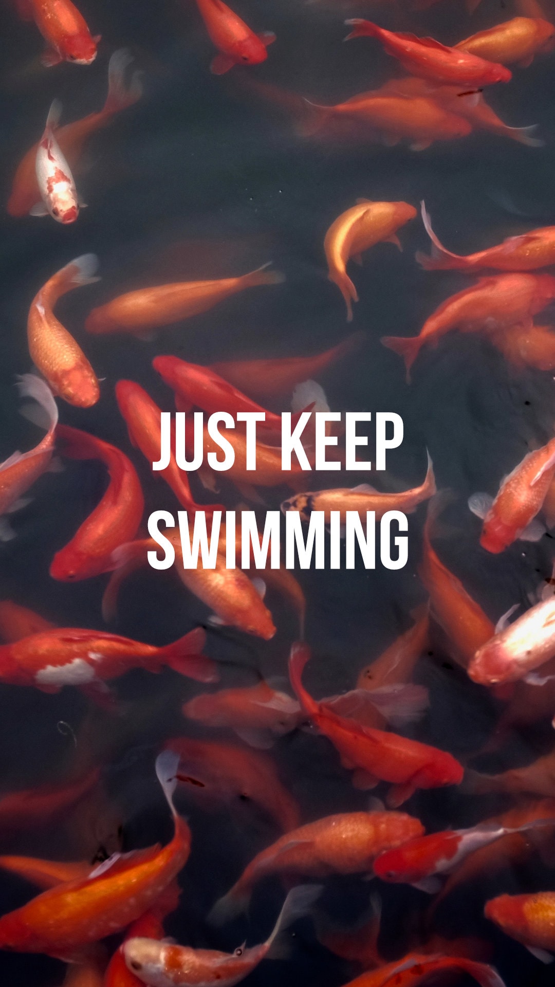 Bundle of 5 Motivational Wallpapers12/13/1highresolution Motivational ...