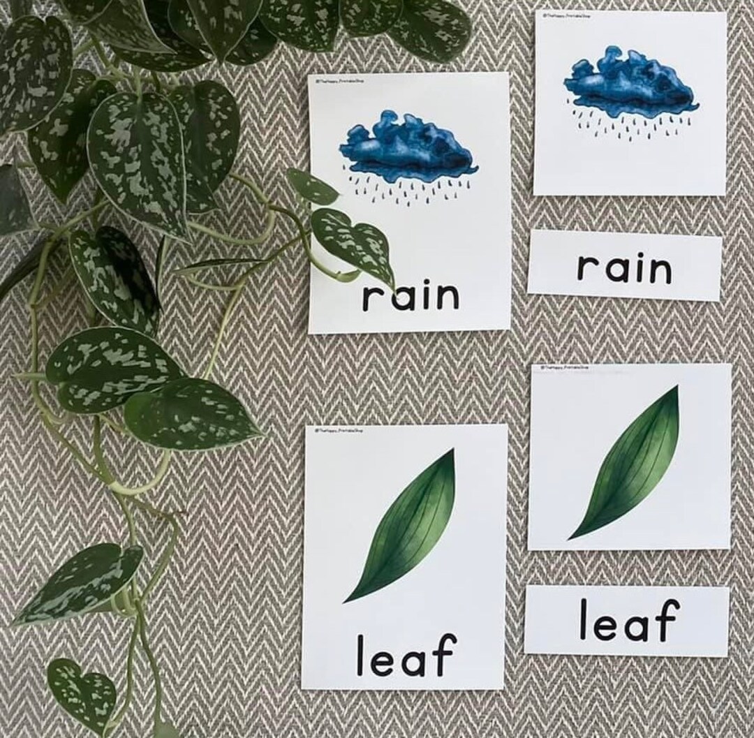 Spring Word Flashcards | Montessori Inspired Cards | Language ...