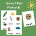 Spring Word Flashcards | Montessori Inspired Cards | Language ...