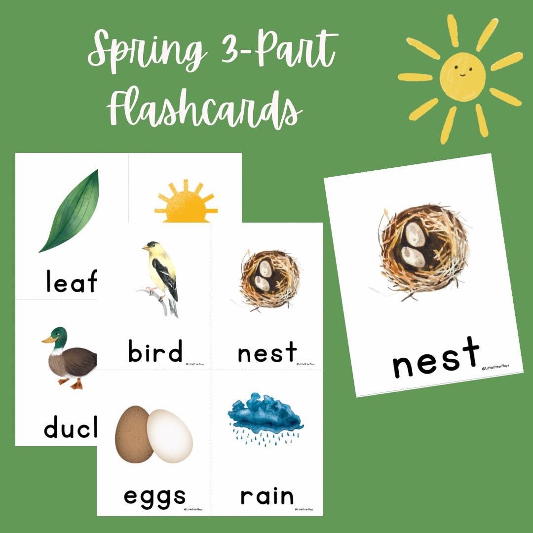 Spring Word Flashcards | Montessori Inspired Cards | Language ...