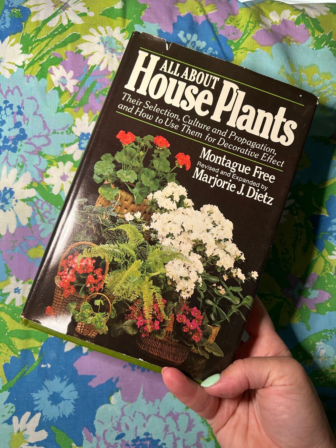 Vintage Plant Guidebook "all About House Plants" 1979 Hardback - Etsy