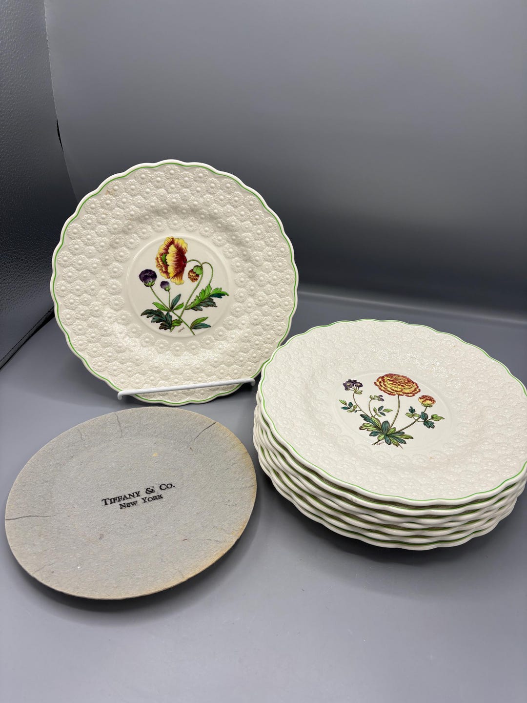 Set 8 Vintage Spode Copeland Porcelain Plates With Varied Bermuda ...