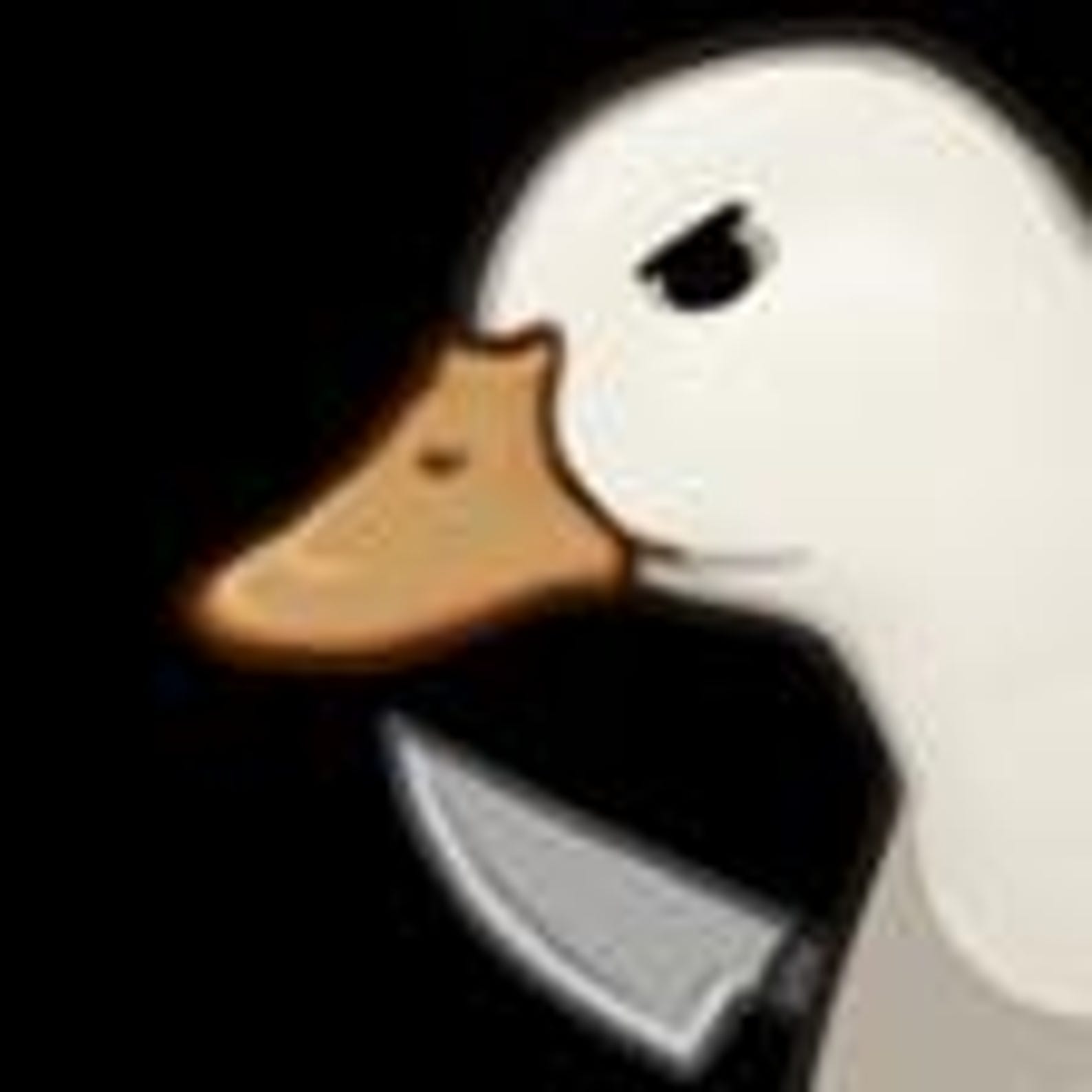 Cute Goose Emote's Package | Twitch / Discord / Youtube - Etsy
