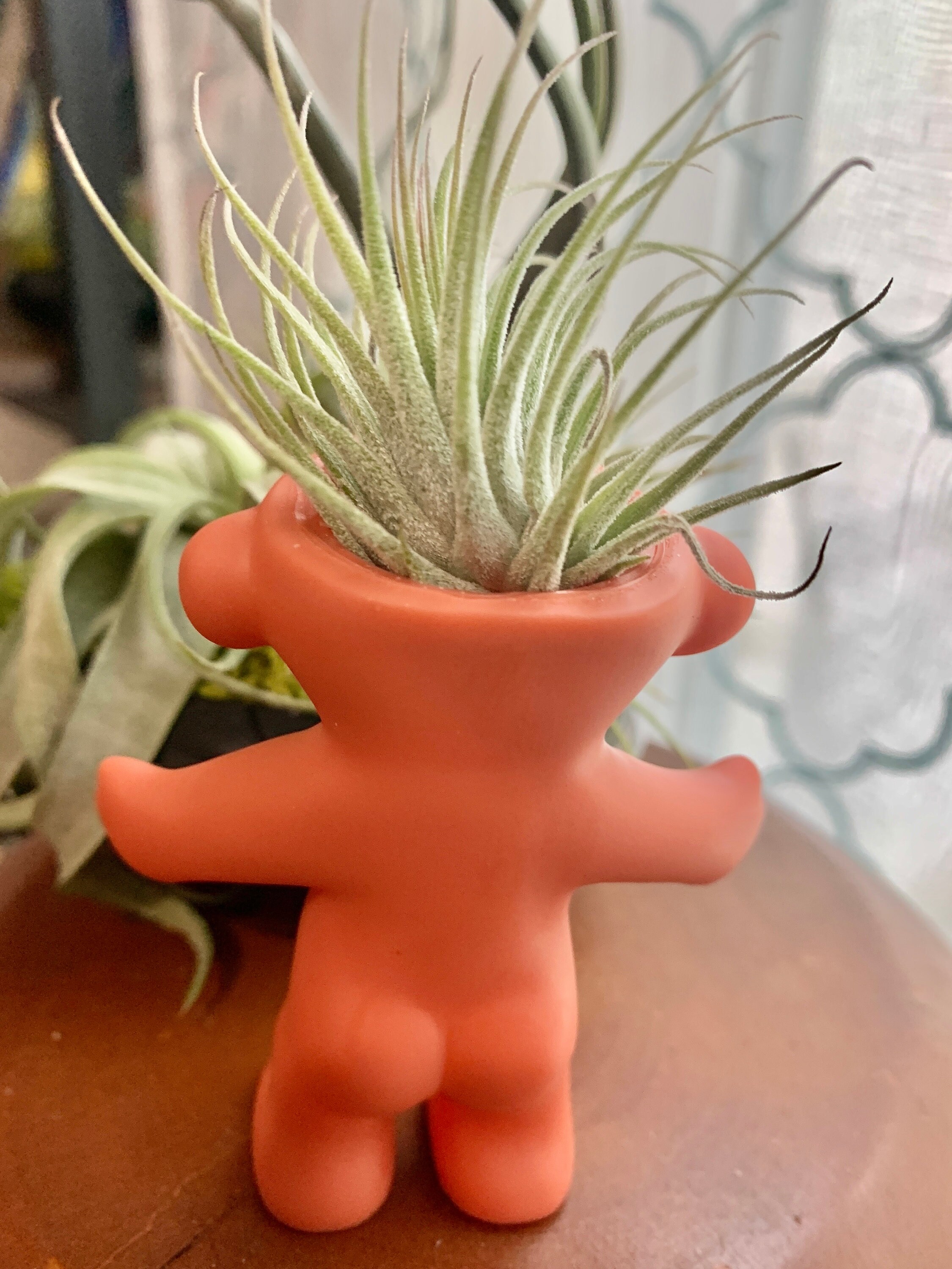 Standing Troll Doll Planter and Generously Sized Air Plant for Home ...