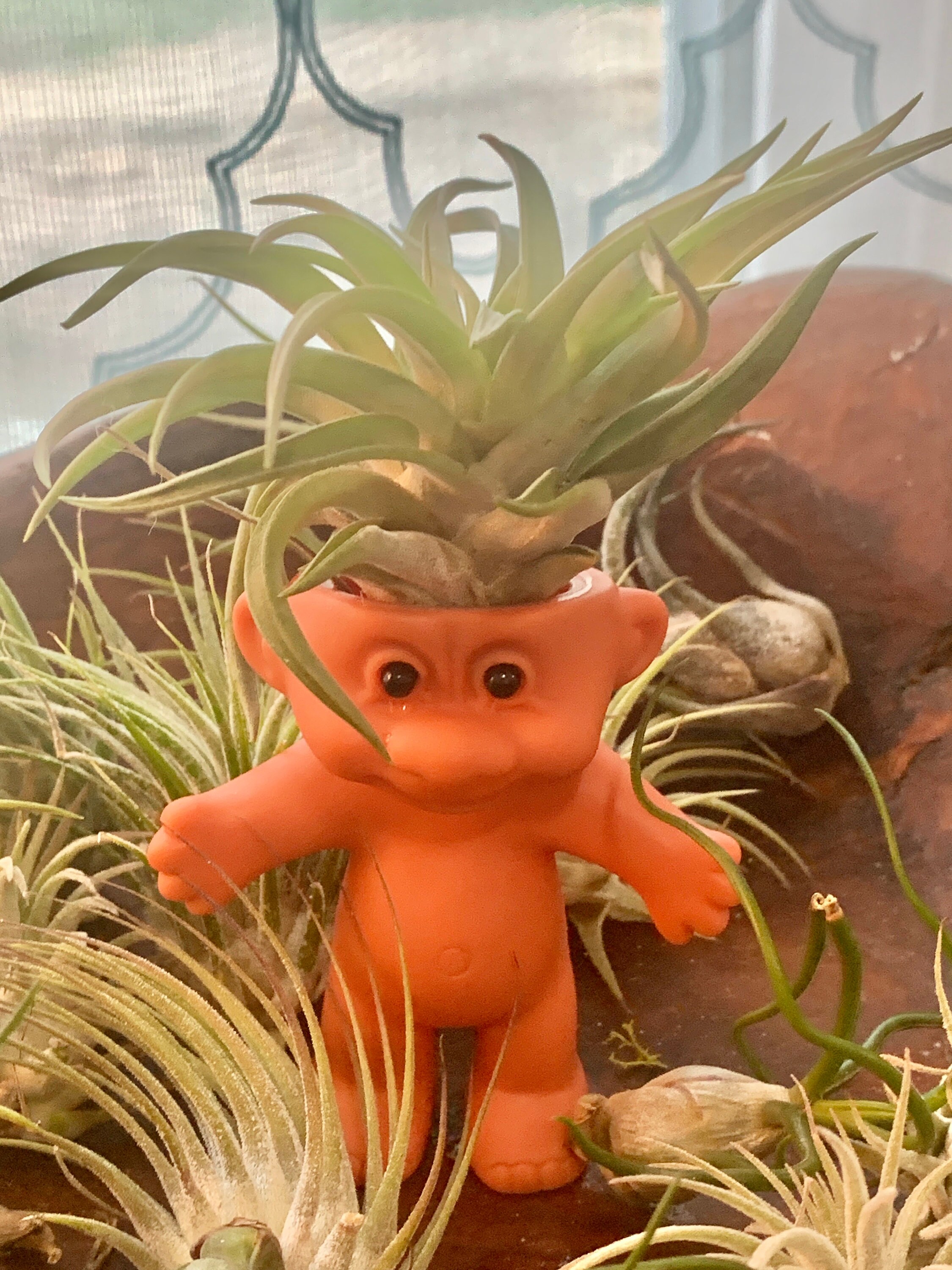 Standing Troll Doll Planter and Generously Sized Air Plant for Home ...