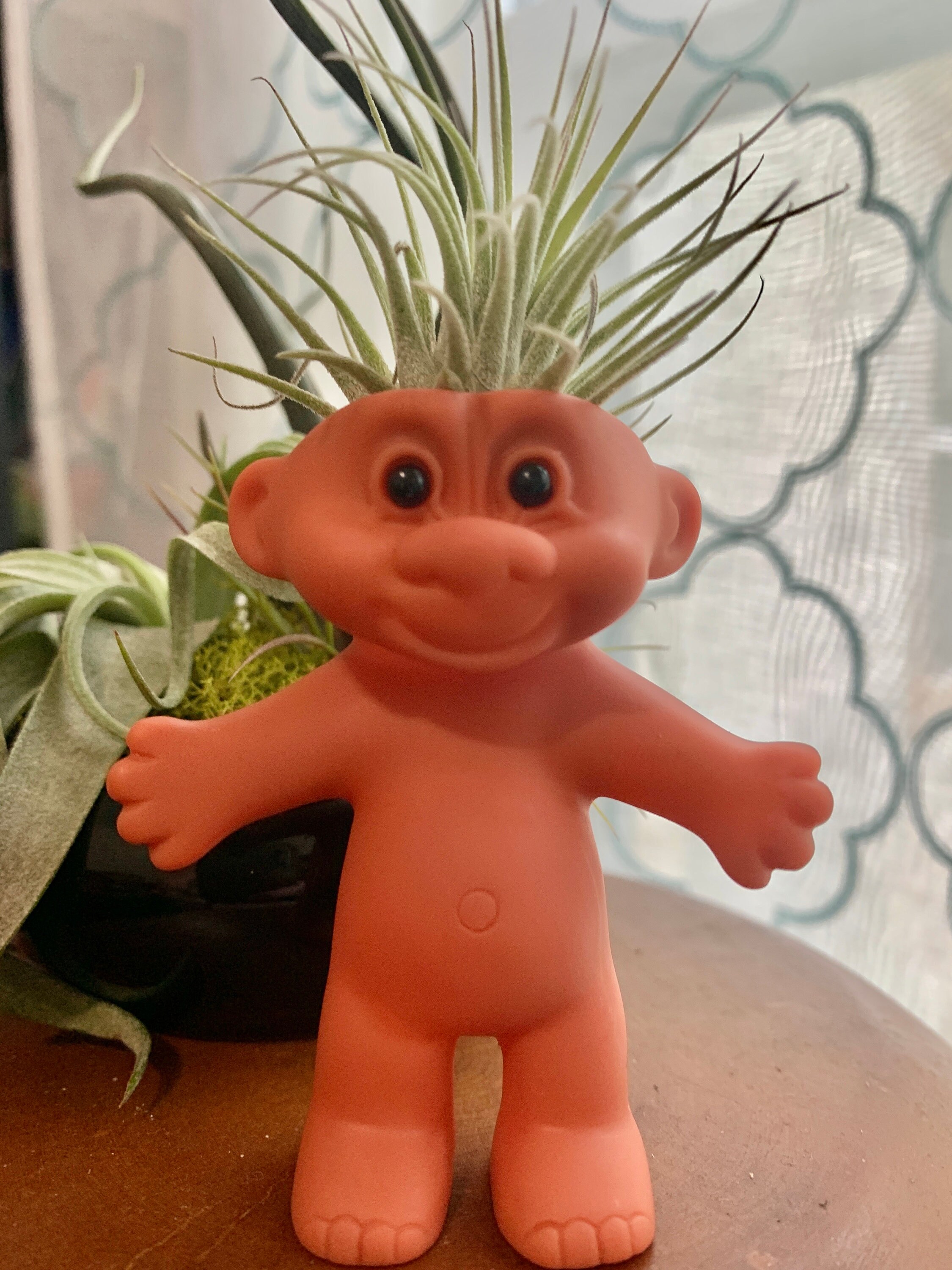 Standing Troll Doll Planter and Generously Sized Air Plant for Home ...