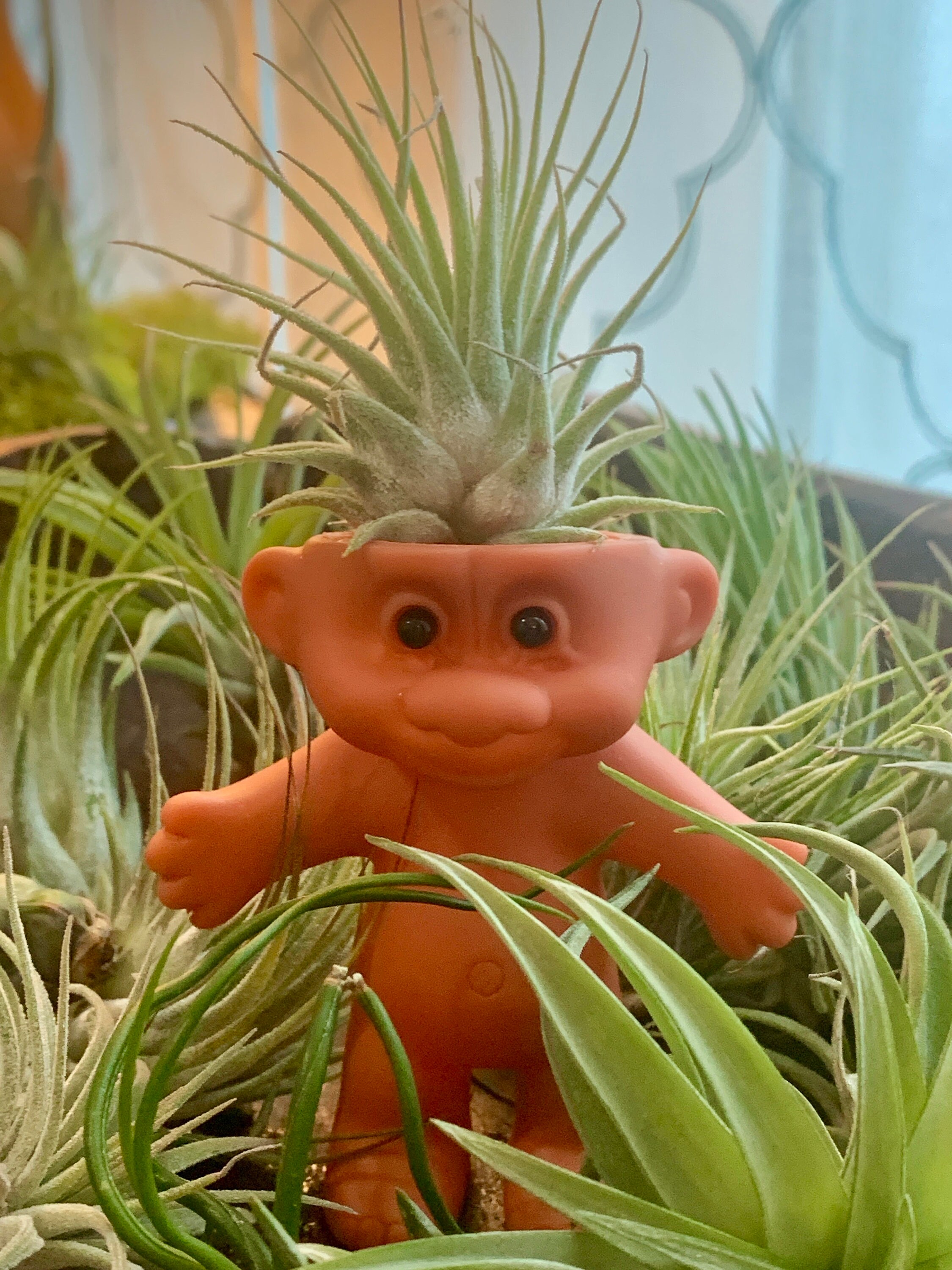 Standing Troll Doll Planter and Generously Sized Air Plant for Home ...
