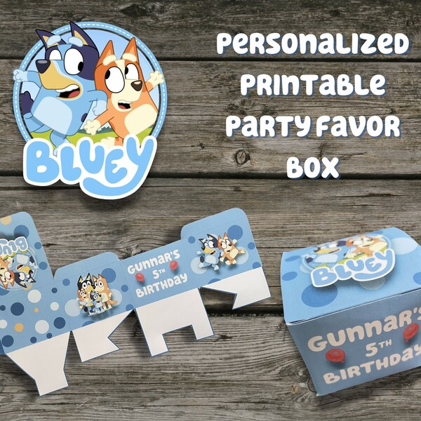 Bluey Boxes Birthday - Etsy